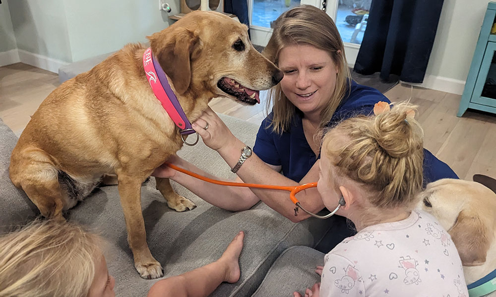 Home - Pawsitively Pets